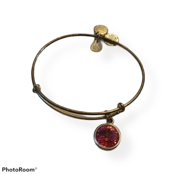 Alex and Ani | Jewelry | Alex And Ani Rose Colored Stone Bangle | Poshmark